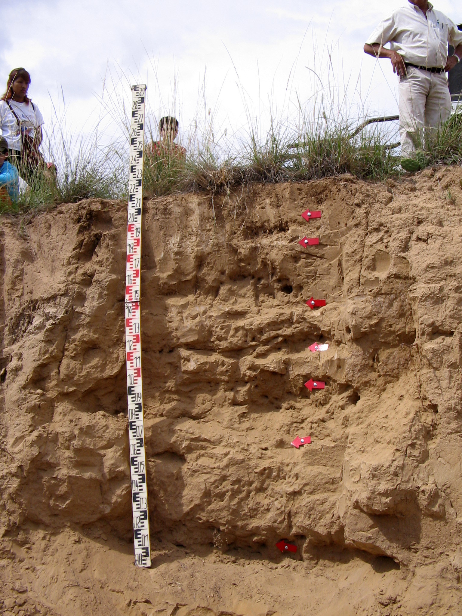 Locos por la Geología » Introducción a la Pedología. El suelo y la Geología