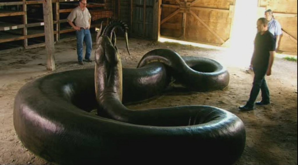 Locos por la Geología » ¿Qué es la Titanoboa y cuándo se la descubrió?